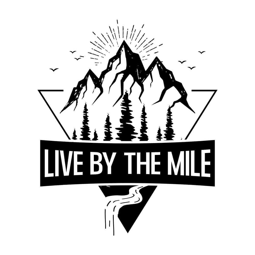 Van Rentals Archives - Vanlife Trader