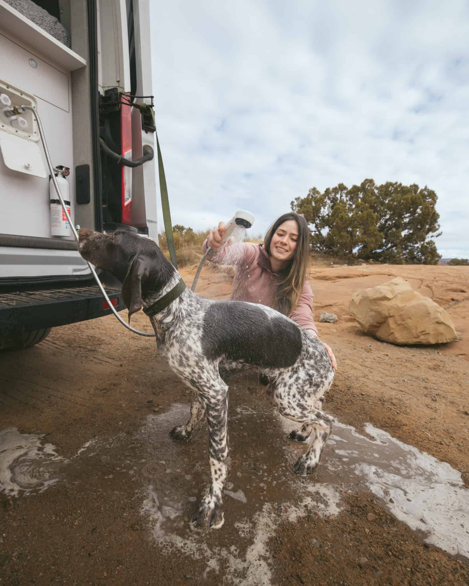 2019 Ford Transit High Roof 2WD - Vanlife Trader