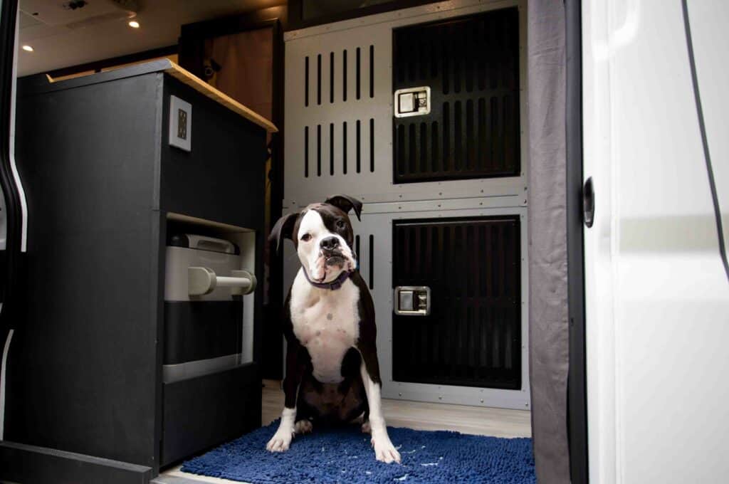 2019 Ram Promaster 2WD – only 15K miles and DOG READY! - Vanlife Trader