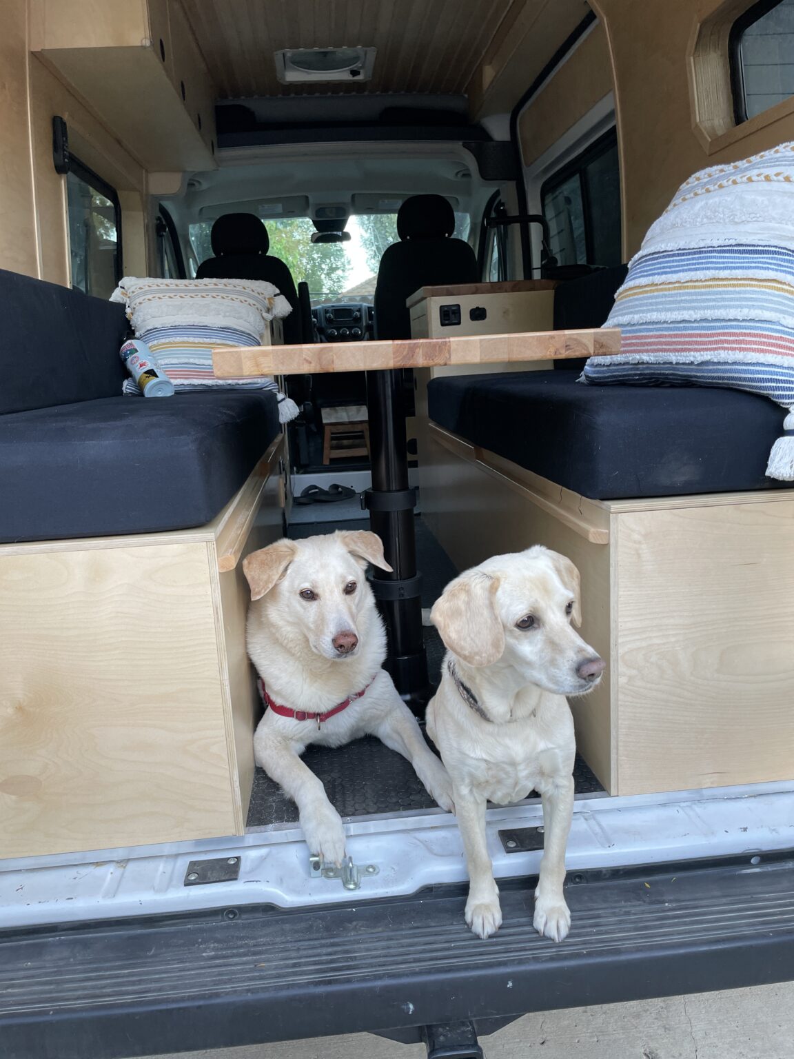 Gorgeous Built Out 2020 Dodge Ram Promaster 1500 Hi Top - Vanlife Trader