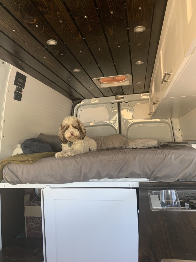 2019 Mercedes Sprinter 2WD – Adventure-Ready Converted Camper Van ...