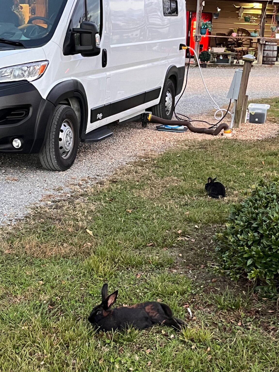 2023 Ram Promaster 3500 WB with Designer Retro Style! - Vanlife Trader