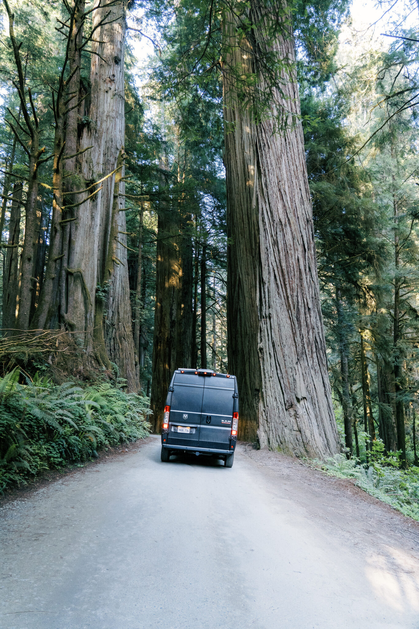 2019 Ram Promaster 2500 136″ ***SALE PENDING*** - Vanlife Trader